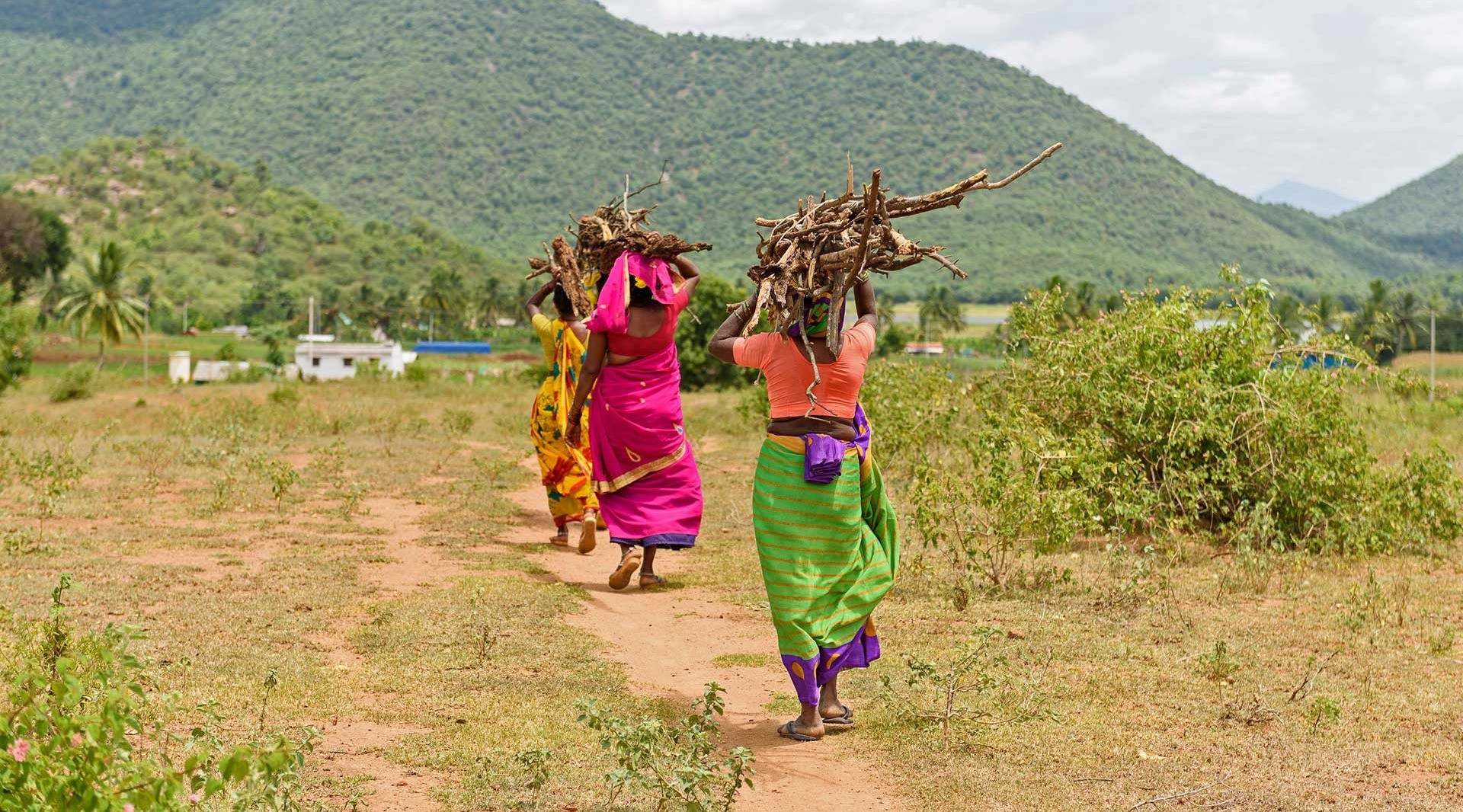 Tanmayi Gidh , Communications Head, Holématthi Nature Foundation ...