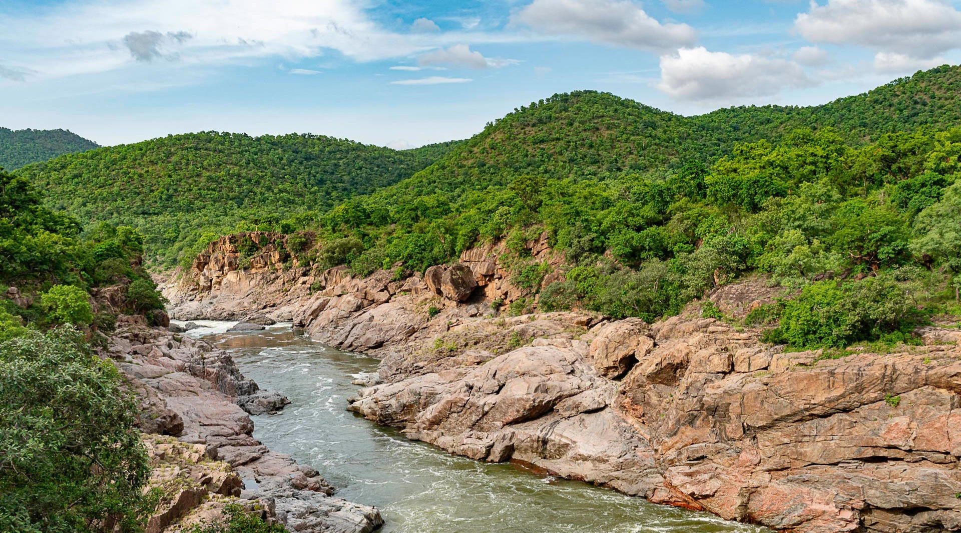 Cauvery Wildlife Sanctuary And The Controversial Mekedatu Project ...