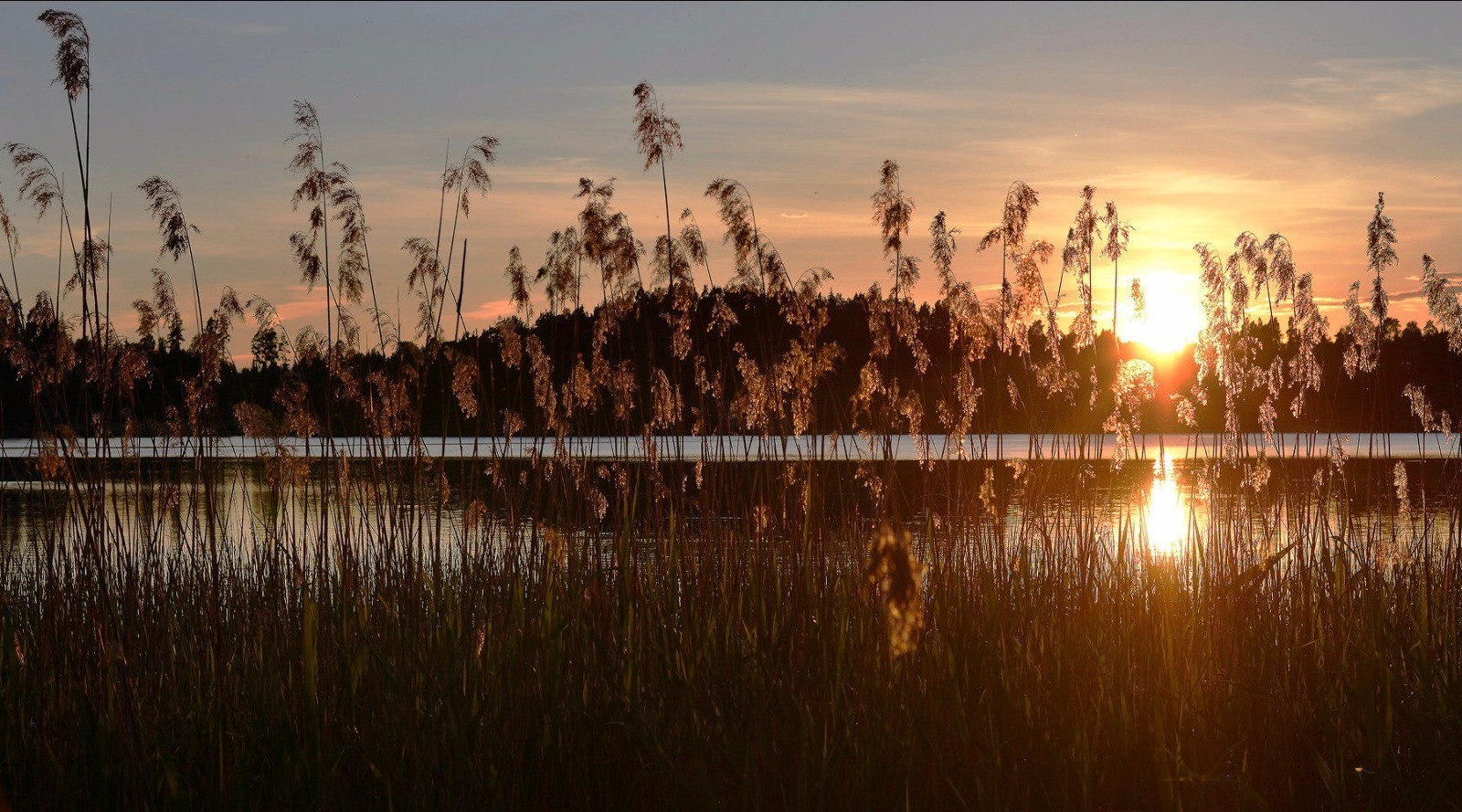 EARTH CoLab, | Nature inFocus