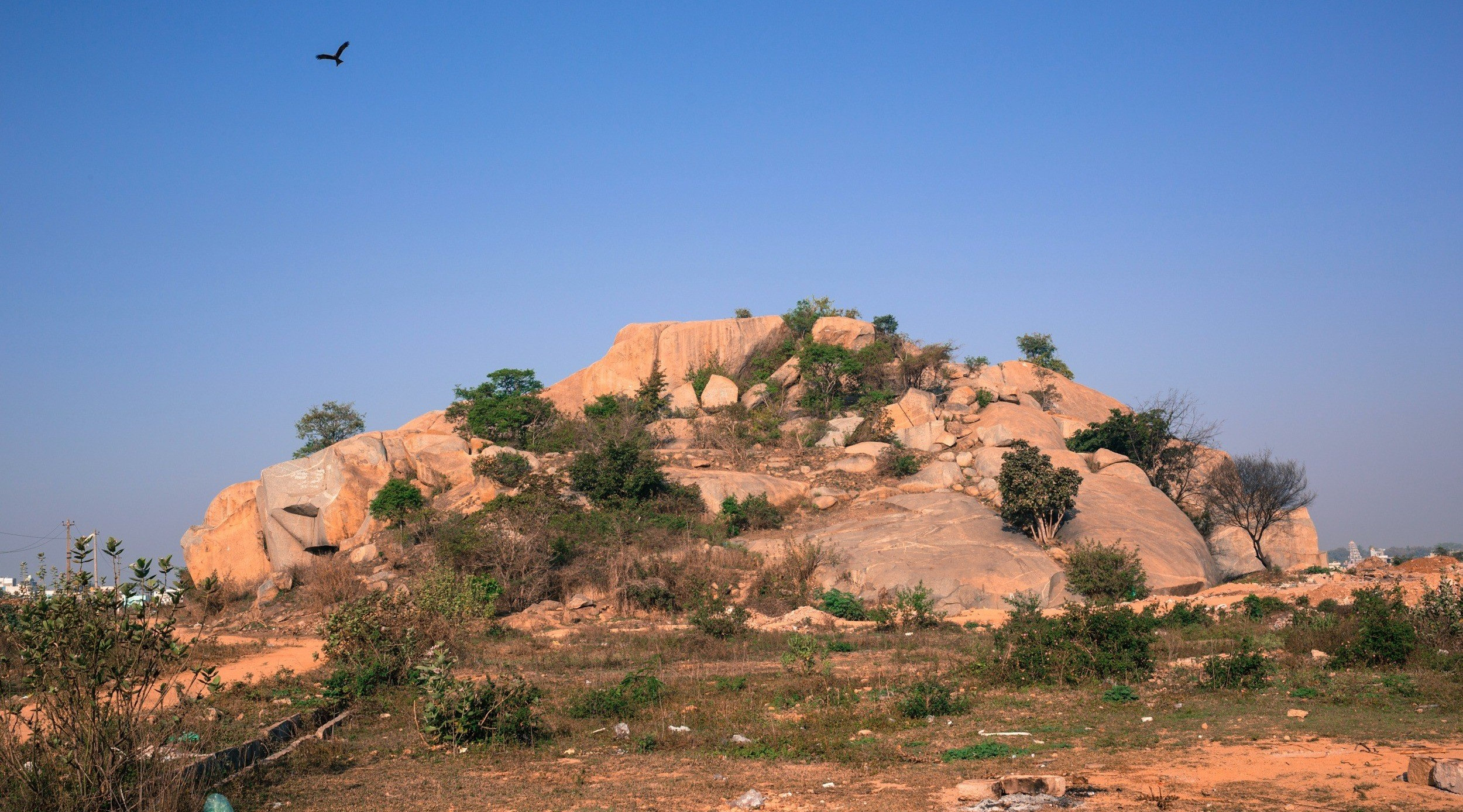 The Highest Natural Point In Bengaluru... | Nature inFocus