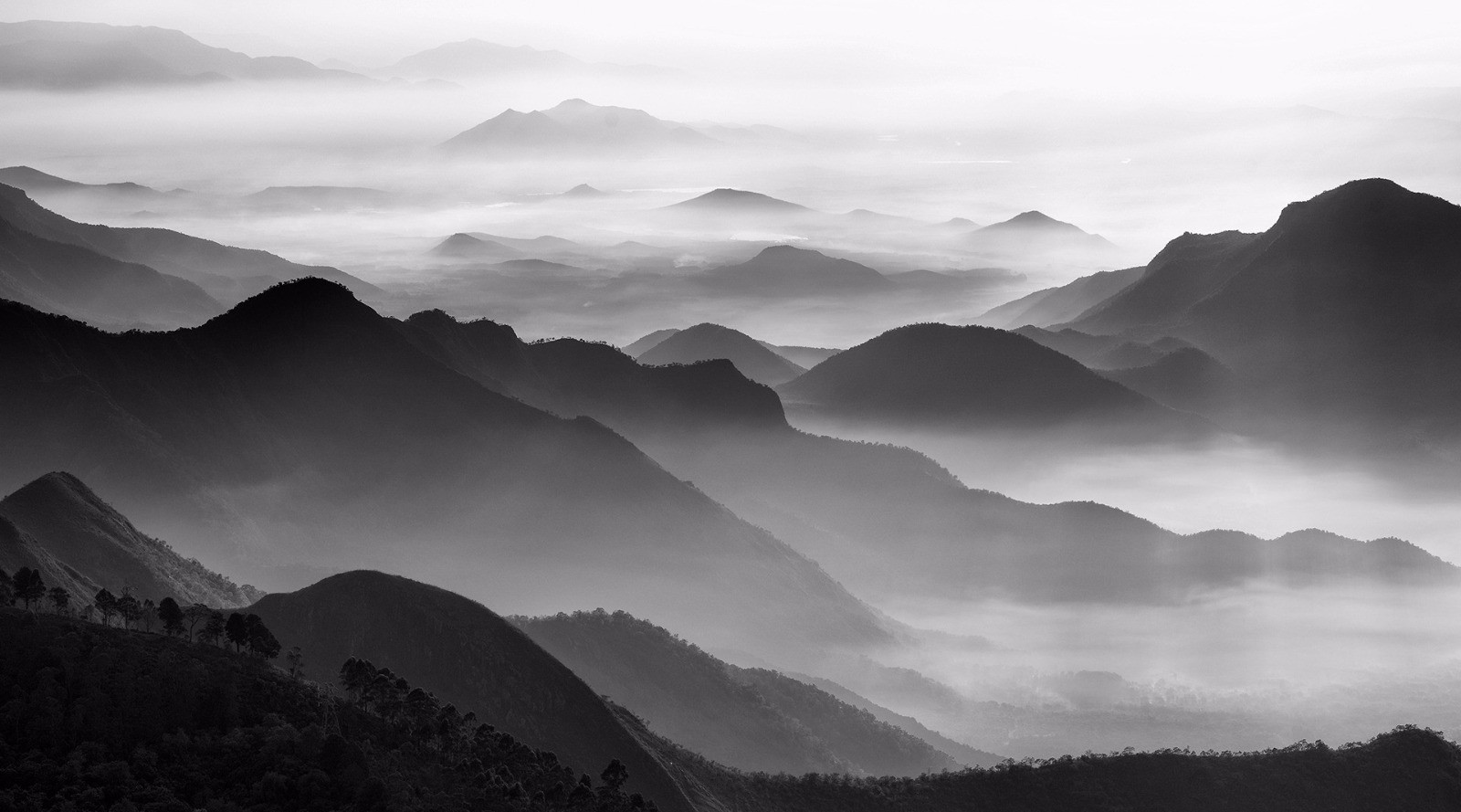 Ian Lockwood, Educator and Photographer | Nature inFocus