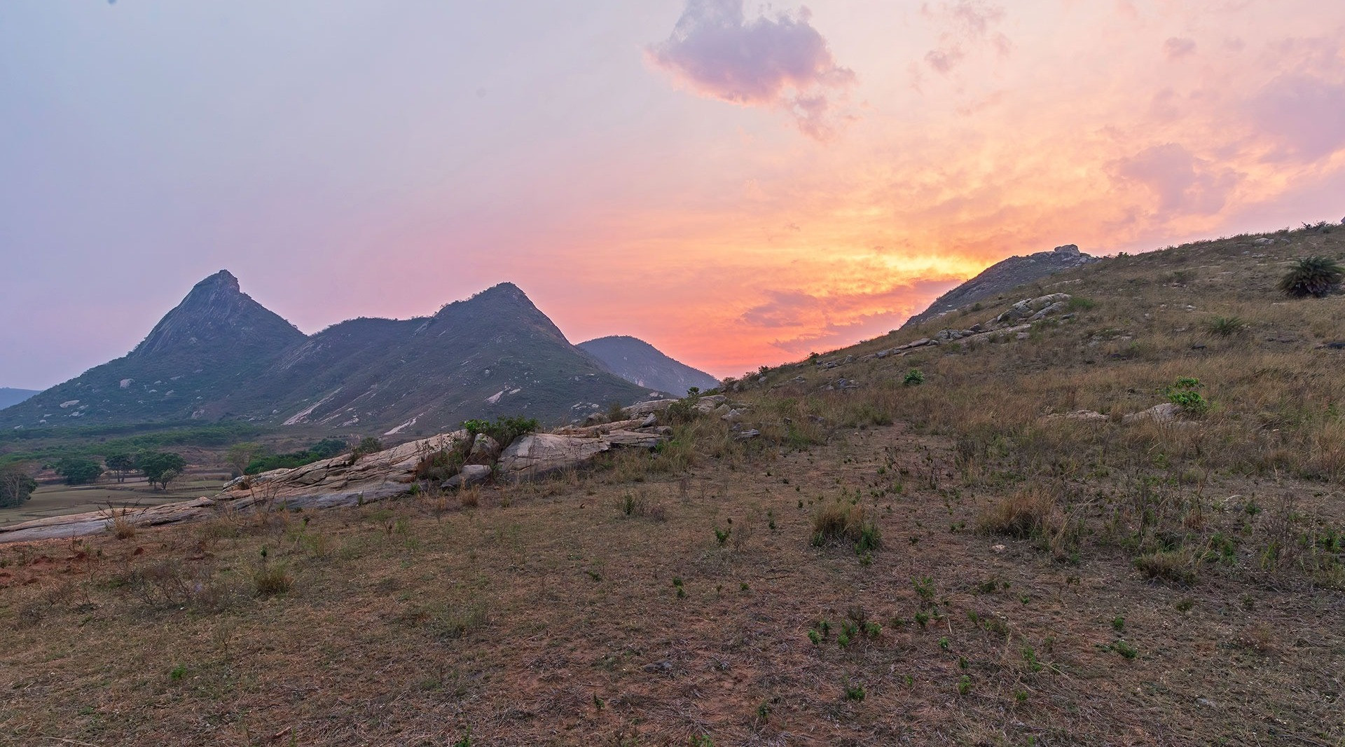 Ajodhya Hills | Nature inFocus