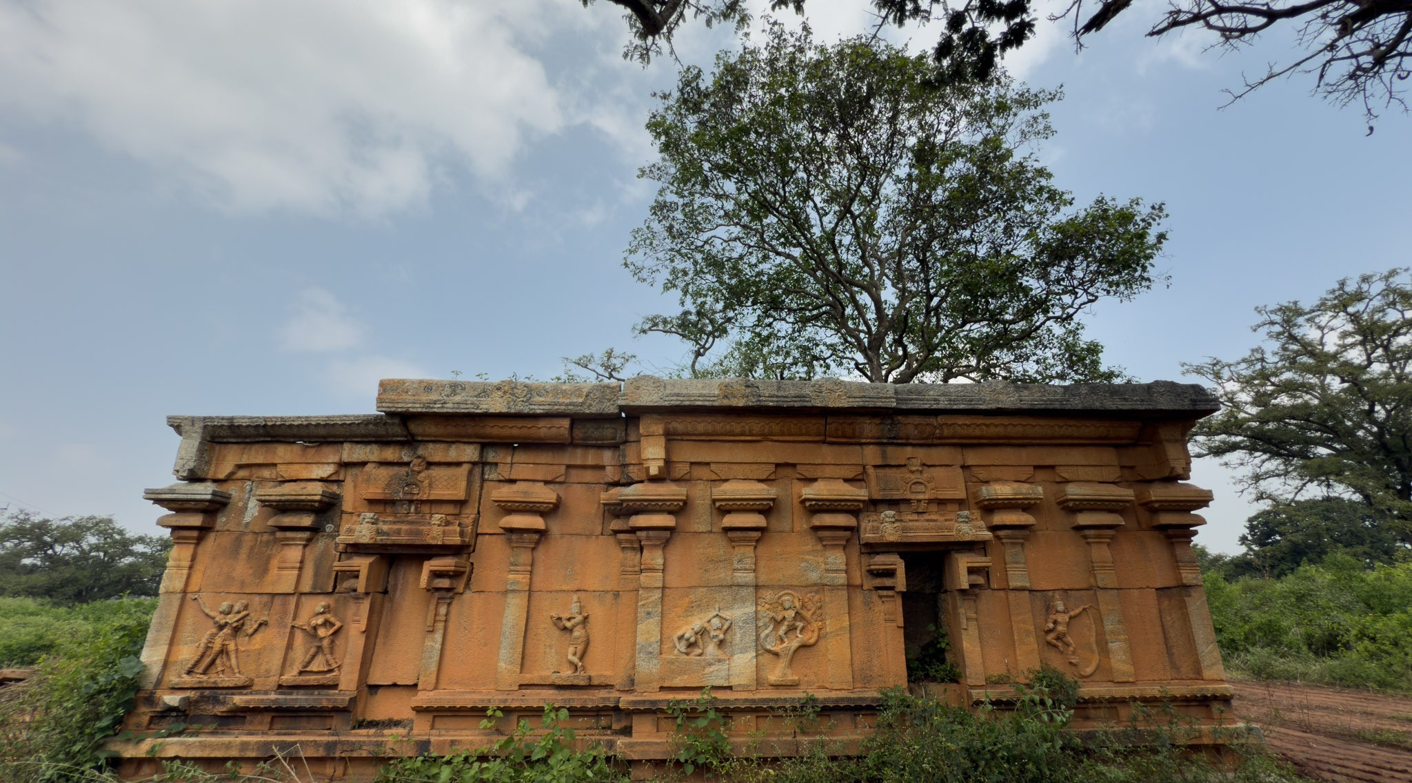 The Ancient Tamarind Trees of Nallur | Nature inFocus