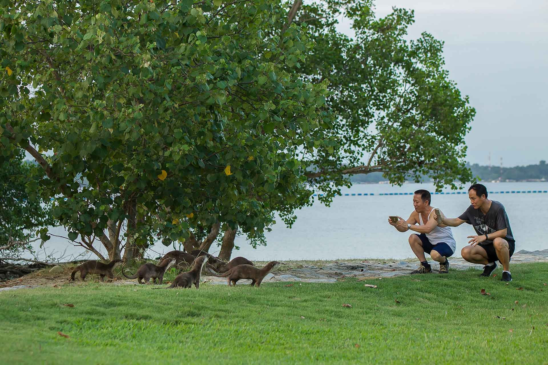 Coexistence is Possible | Nature inFocus