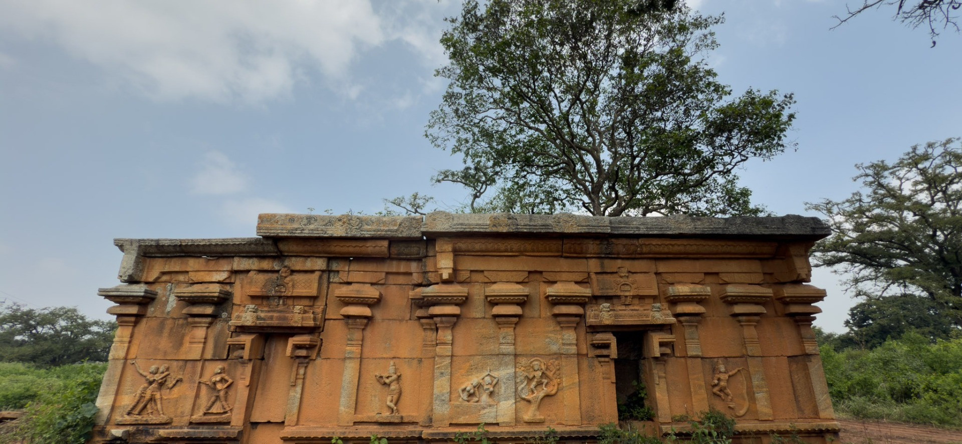 Nature travel, wildlife photography and conservation stories from India ...