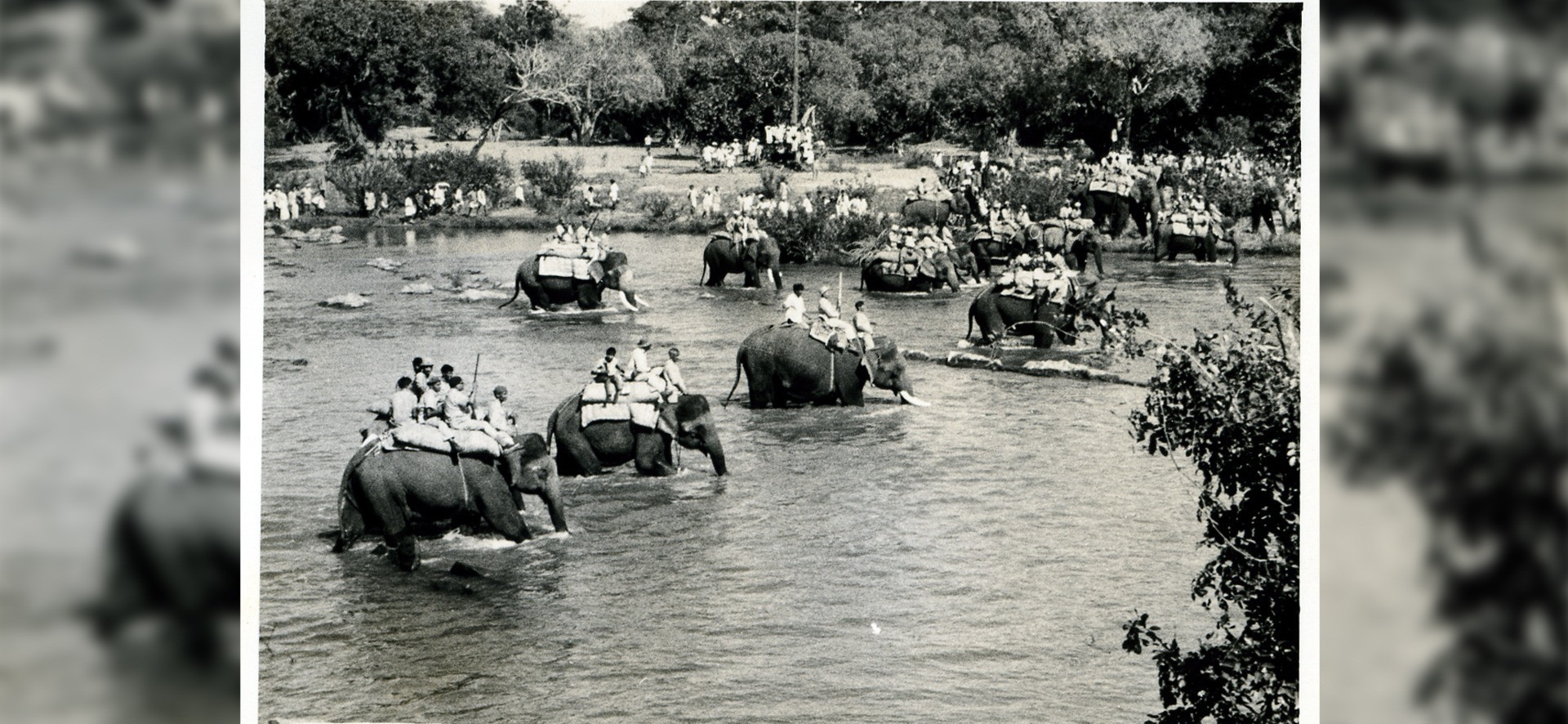 A Portal For Nature Travel/ Tourism, Photography, Wildlife ...