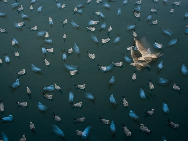 Winner Post | Nature InFocus