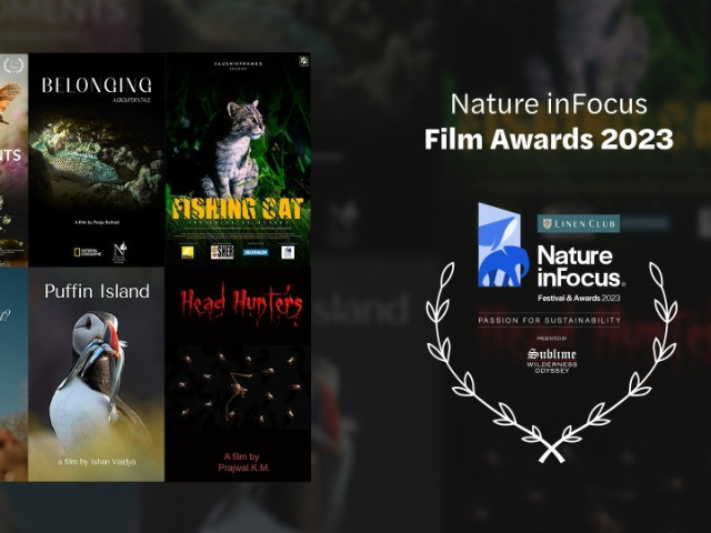 Nature inFocus Film Awards 2023: The Winners | Nature inFocus