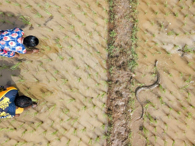 This Divided Land | Nature inFocus