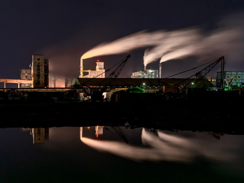 Toxic-city | Nature inFocus