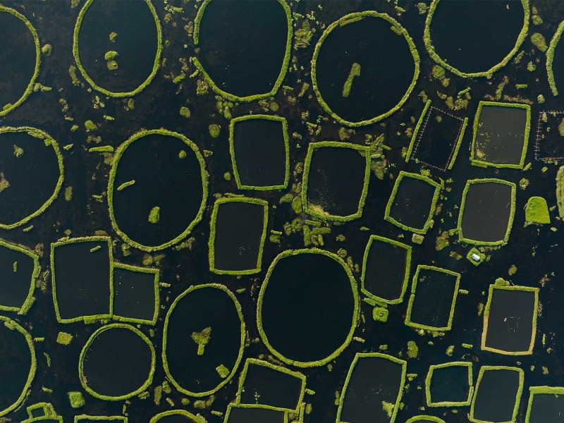 Phumdi Puzzle | Nature inFocus