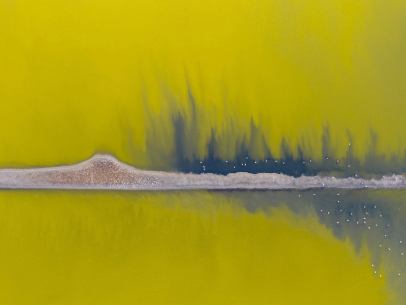 The Salt Palette | Nature inFocus