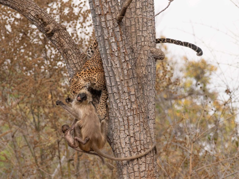 A Love Like No Other | Nature inFocus