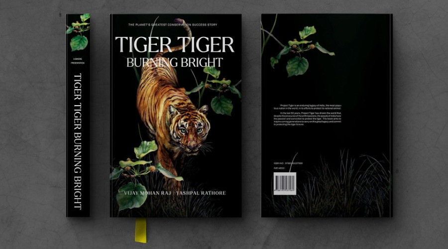 Book Excerpt: Tiger Tiger Burning Bright | Nature inFocus