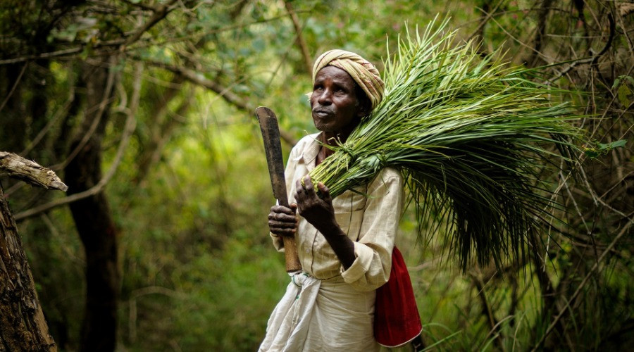 Covid Relief For Soligas And Other Communities In Chamarajanagar ...