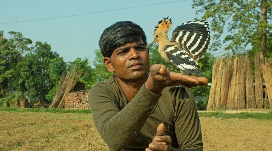 A Strong Voice For The Endangered Ganges River Dolphin | Nature inFocus