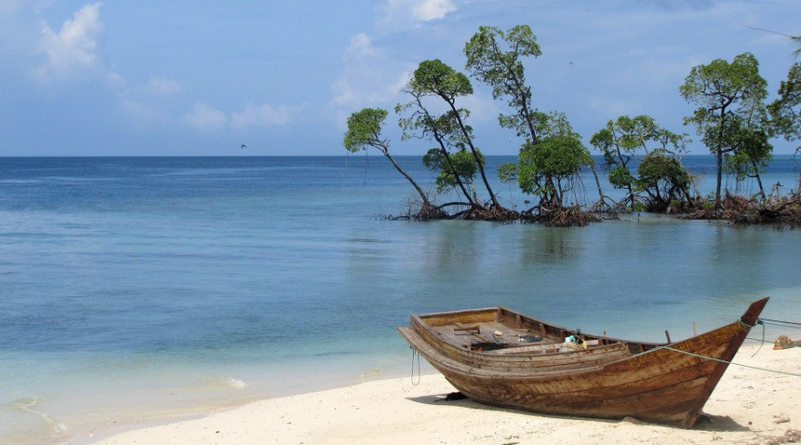 What Does The Climate Crisis Mean For The Andaman Islands? | Nature inFocus