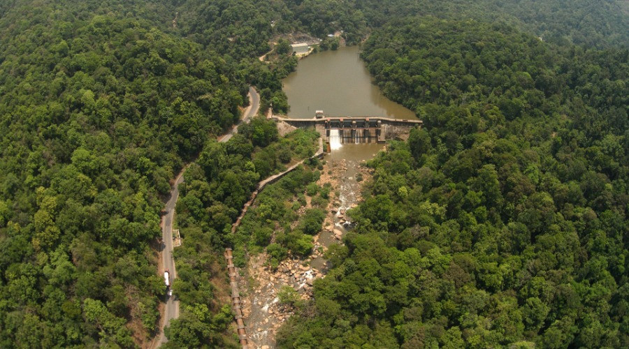 Not Really Green Or Clean | Nature inFocus