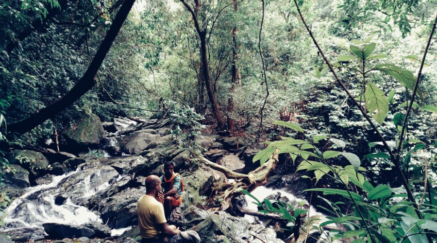 Lost And Found In The Sharavathi Valley | Nature inFocus