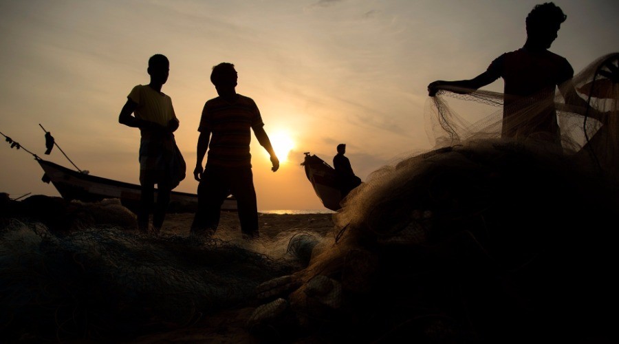 Fishing For A Livelihood | Nature inFocus