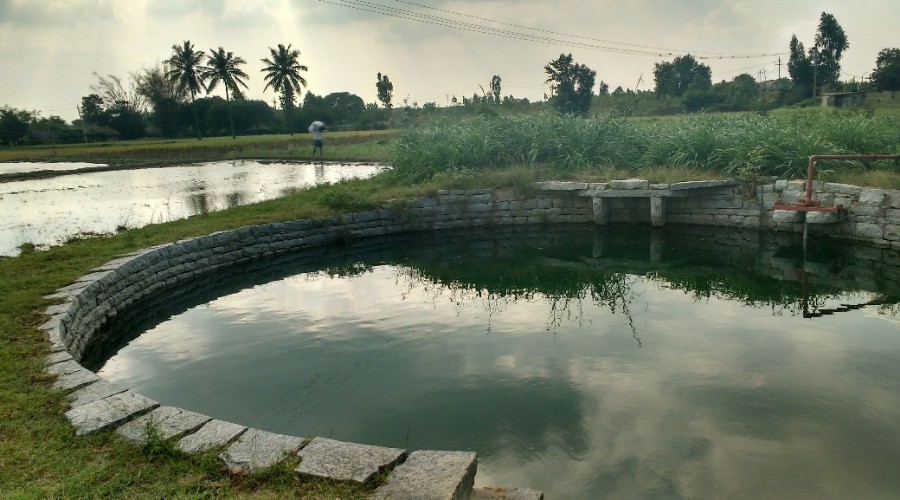 The Open Wells of Devarayasamudra | Nature inFocus