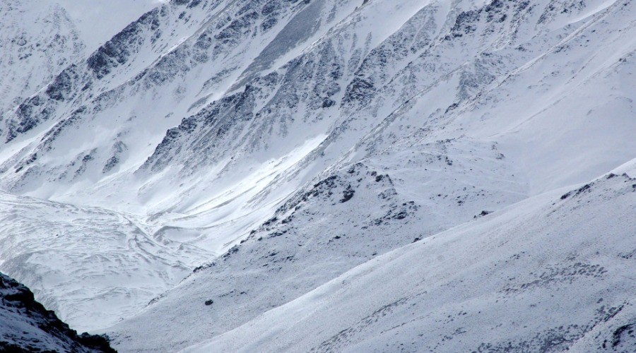 Hemis National Park | Nature inFocus