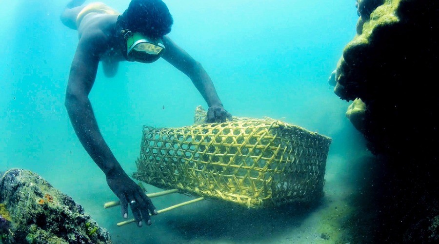 Fishing Palk Bay | Nature inFocus