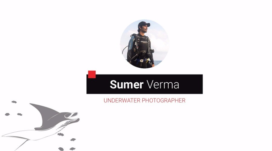 A Journey into the Big Blue | Nature inFocus