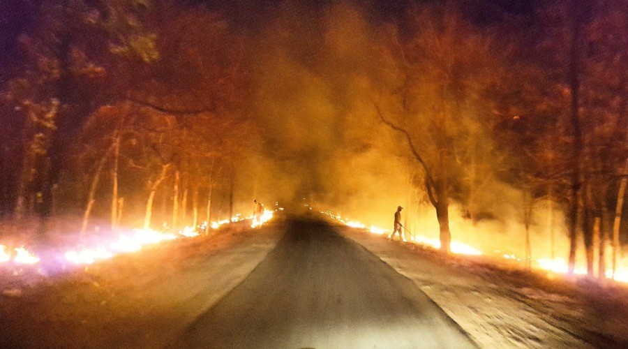 Ablaze With Colour | Nature inFocus