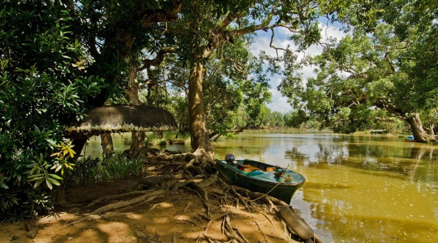 Dubare | Nature inFocus