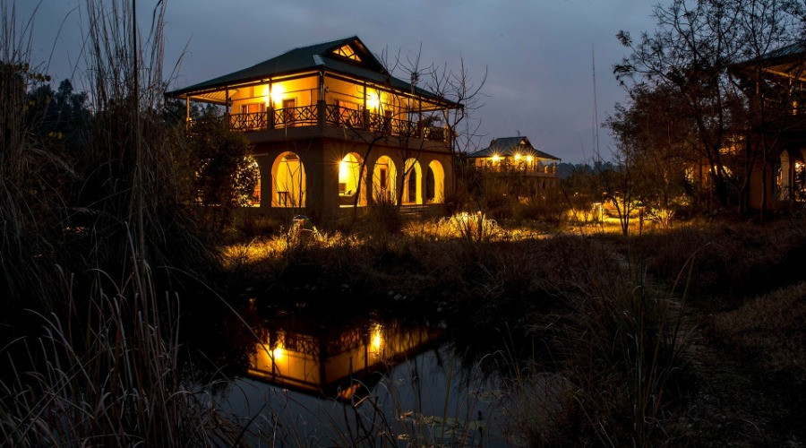 Jim's Jungle Retreat: Seek The Tiger, Find The Jungle | Nature inFocus