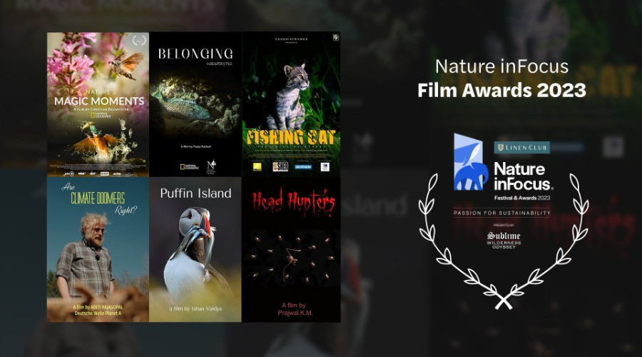 Nature inFocus Film Awards 2023: The Winners | Nature inFocus