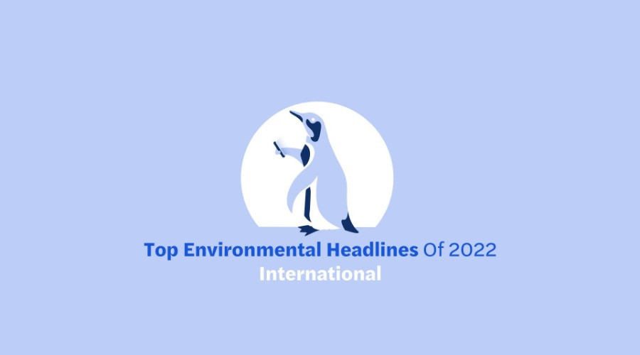 Top Environmental Headlines Of 2022—International | Nature inFocus