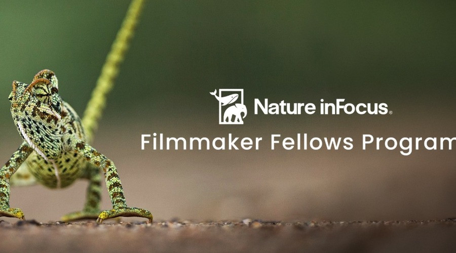 Filmmaking Grant | Nature inFocus